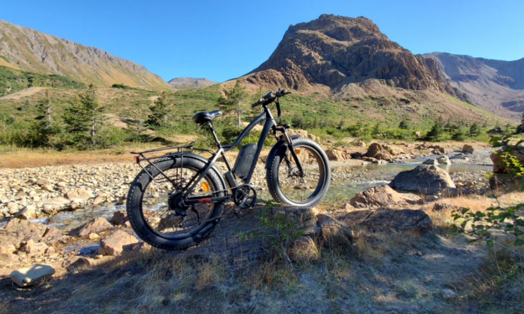 Rawrr Mantis - LoopEride